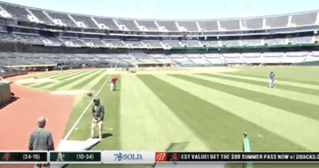 Whoops: MLB Pitcher Accidentally Hits and Kills a Bird with His Throw [Video] | www.lovebscott.com