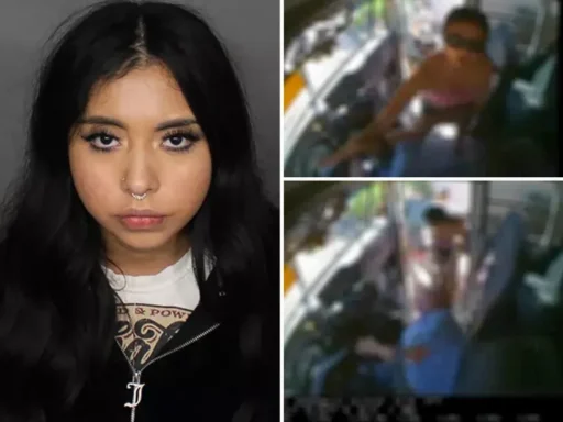 DMX Remains in a Coma, Brain Function Test Results ‘Not Good’ - Family ...