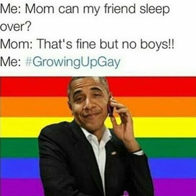 10 Pride Month Memes That Will Make Your Pride Celebration Better
