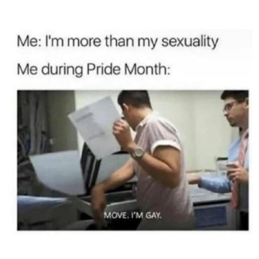 10 Pride Month Memes That Will Make Your Pride Celebration Better