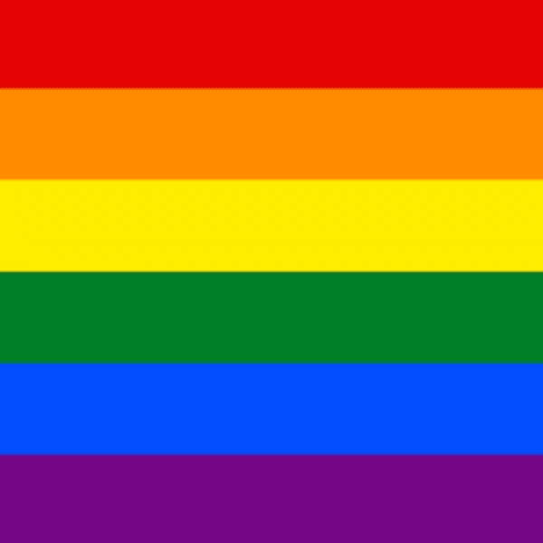 Decoding 7 Pride Flags: A Look at LGBTQIA+ Symbols and Their Histories