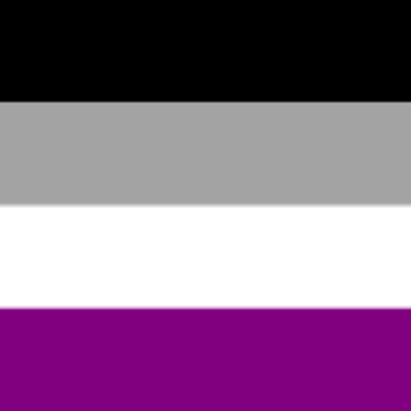 Decoding 7 Pride Flags: A Look at LGBTQIA+ Symbols and Their Histories